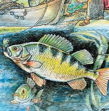 “MISERICORDIOSI COME IL PADRE” - La Domenica